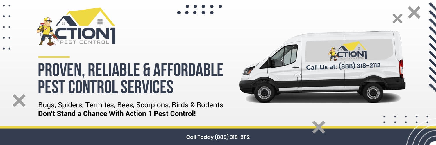 About Us | Action 1 Pest Control